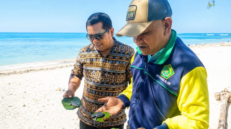 Kemenag Flores Timur Lepas 250 Tukik di Solor Selatan, Dukung ...