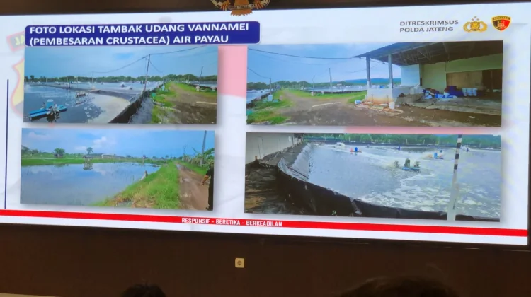 Polda Jateng Ungkap Kasus Alih Fungsi Sawah Jadi Tambak Udang di Batang ...