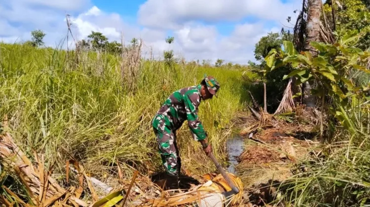 Lestarikan Kearifan Lokal, Babinsa Dampingi Pengolahan Sagu Tradisional ...