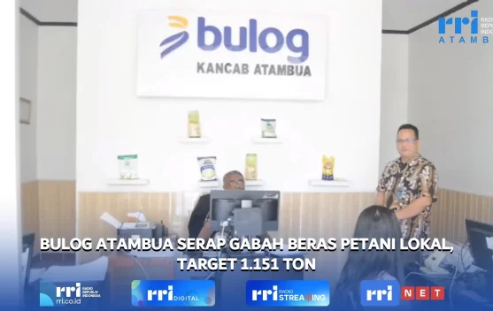 Serap Beras dan GKP Petani Lokal, Perum Bulog Kancab Atambua Minta Jaga ...