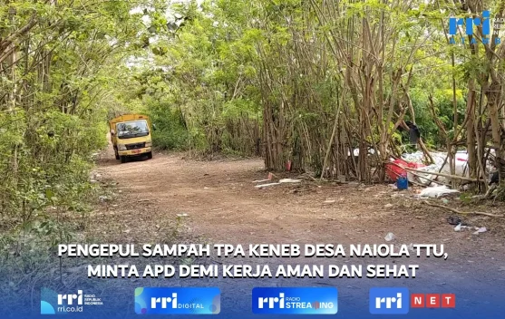 Berita Video - Pengepul Sampah di Keneb Minta Pemkab TTU Membantu APD ...