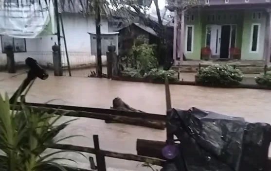 Berita Video - Sejumlah Gampong di Pante Ceureumen Aceh Barat mulai ...