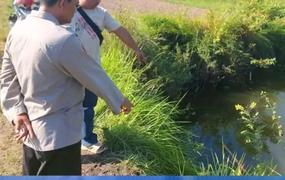 Tiga Bocah Kakak Beradik Tewas Tenggelam di Embung Sampang - RRI.co.id