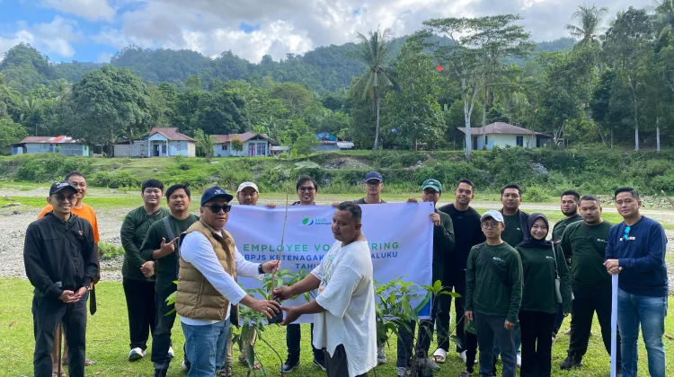 Lewat Employee Volunteering, Karyawan BPJS Ketenagakerjaan Maluku Tanam ...