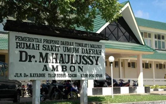 Sembilan Bulan Mengendap, Nakes RSUD Haulussy Pertanyakan Dana Covid-19 ...