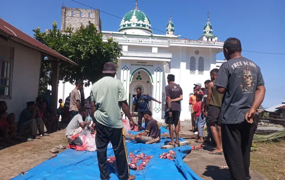 Penyembelihan Kurban di Masjid Al-Ansar Hulnani Jadi Wujud Kepedulian ...