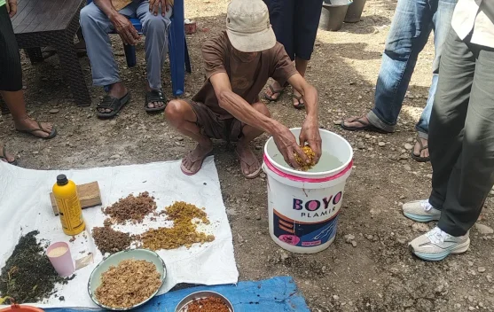 Petani Sayur di Kefamenanu Utara Dilatih Membuat Pestisida Nabati dan ...