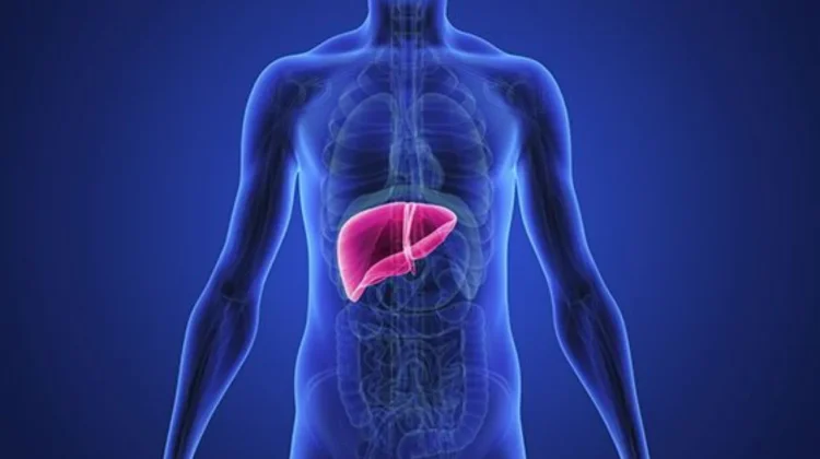 Pentingnya Organ Hati Dijaga sejak Dini - RRI.co.id
