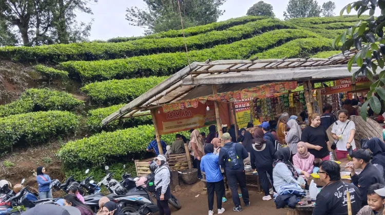 Kebun Teh Sukawana Tempat Bersantai dan Menikmati Kuliner - RRI.co.id
