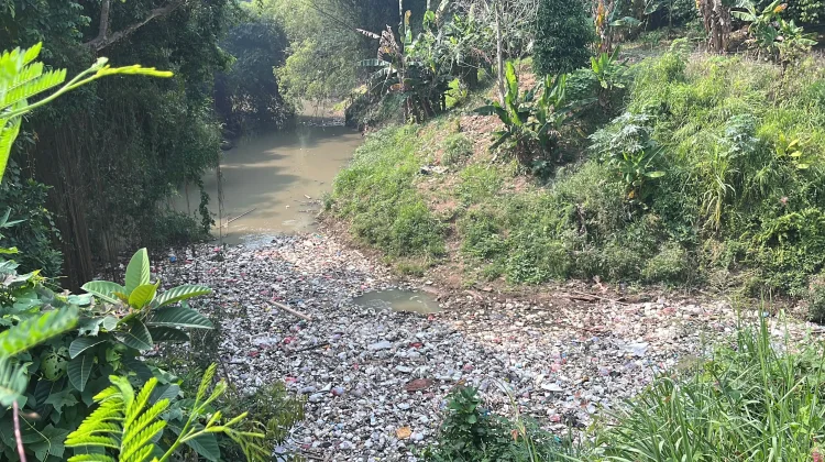 Sungai Cibanten Darurat Styrofoam, Relawan Desak Pemkot Serang Bikin ...