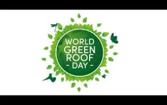 Hari Atap Hijau Sedunia (World Green Roof Day) - RRI.co.id