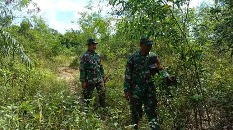 Babinsa Mandau Rutin Patroli Cegah Karhutla sejak Dini - RRI.co.id