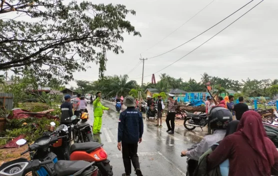 Puting Beliung Hantam Sekolah dan Rumah Warga di Api-Api, Kerugian Rp5 ...