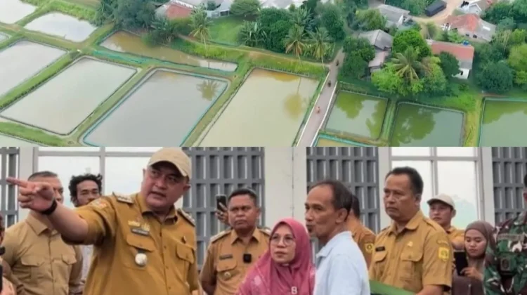 Bupati Bogor dorong Budidaya Perikanan Ciseeng Berdaya Saing - RRI.co.id