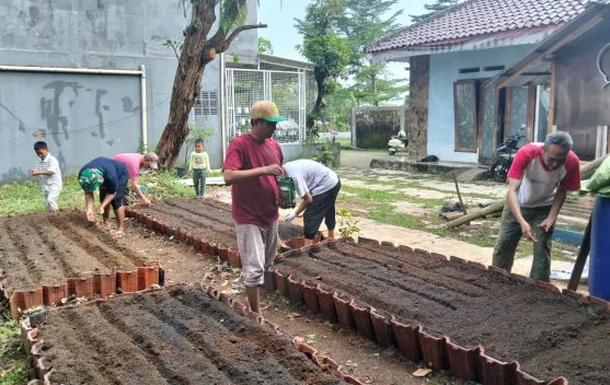 Panen Kangkung Perdana Warga Laladon Wujudkan Kemandirian Pangan ...