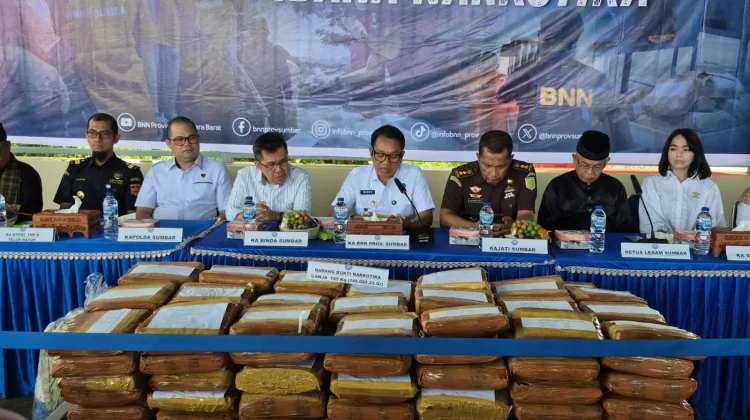 BNNP Sumbar Musnahkan 145 Kg Ganja dari Bandar Asal Bukittinggi - RRI.co.id