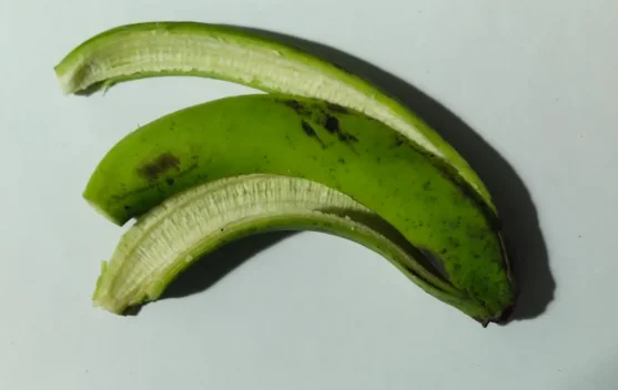 Pupuk Cair Organik Kulit Pisang untuk Menyuburkan Tanaman - RRI.co.id