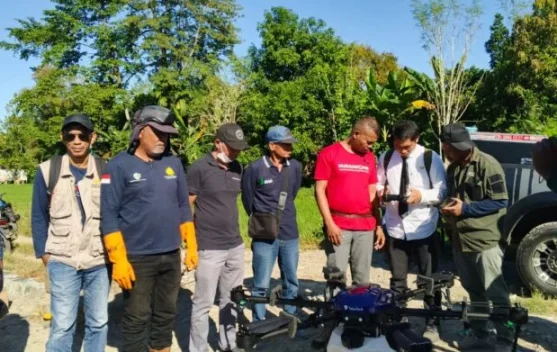 DTPHP Manggarai Barat Gunakan Drone Kendalikan Hama Wereng di Lahan ...