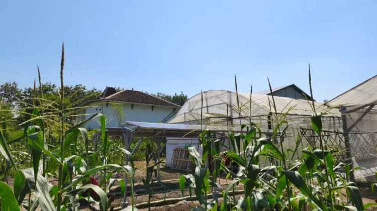 UGM Brings Solar-Powered Smart Farming to Indonesian Village - RRI.co.id