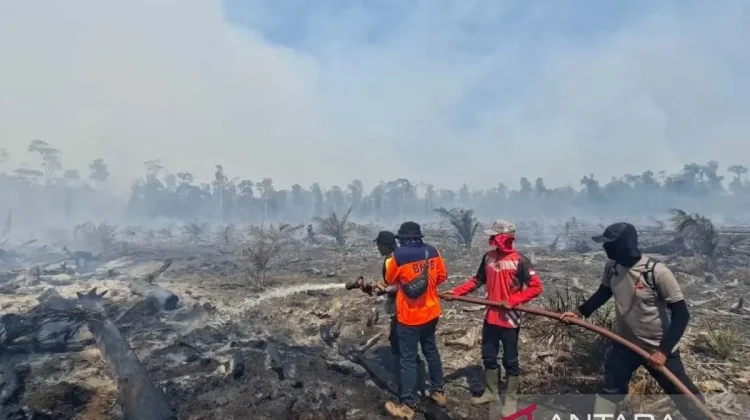 West Aceh Wildfires Spread to 31 Hectares as Crews Battle Obstacles ...
