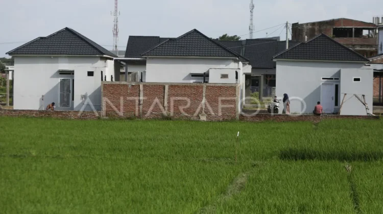 House Urges Halt to Farmland Conversion to Safeguard Food Sovereignty ...