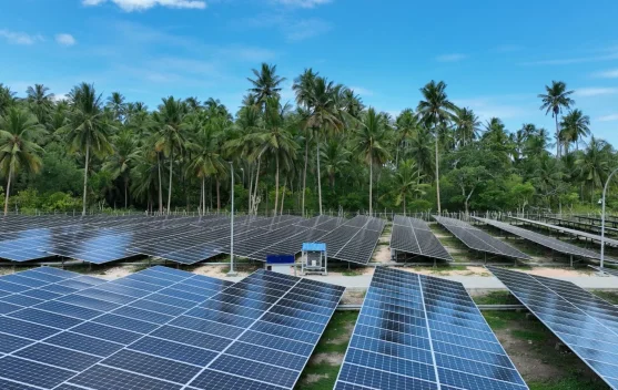 Danantara Receives USD 1.4 Billion Investment to Build 50 GW Solar ...