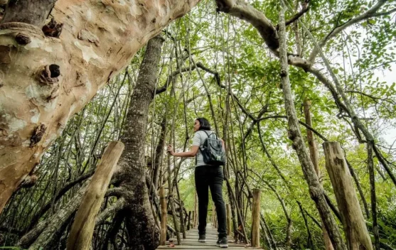 Govt. Strengthens Tourism Standards to Ensure Traveler Safety - RRI.co.id