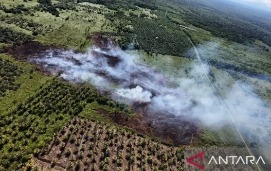 West Aceh Forest Fires Expand to 34.1 Hectares Despite Ongoing Response ...