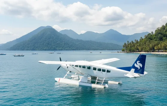 Seaplane Service Aims to Elevate Banyuwangi as Premium Travel Hub - RRI ...