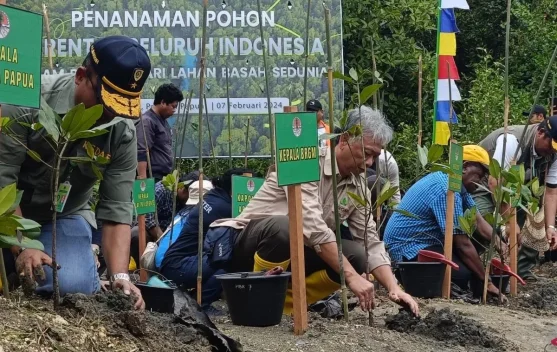Southwest Papua Plants 5,000 Trees for Climate Campaign - RRI.co.id