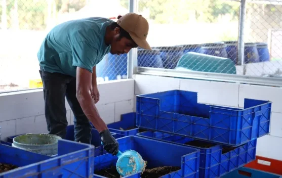 UK Eyes South Sulawesi as Low-Carbon Development Model - RRI.co.id