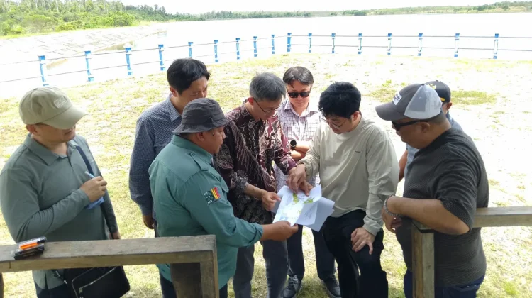 Investasi Sawit Bomberay–Tomage Fakfak Masuki Tahap Observasi Lapangan ...