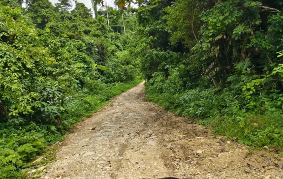 Distrik Fakfak Timur Harapkan Perbaikan Jalan Sanggram Tunasgain - RRI ...