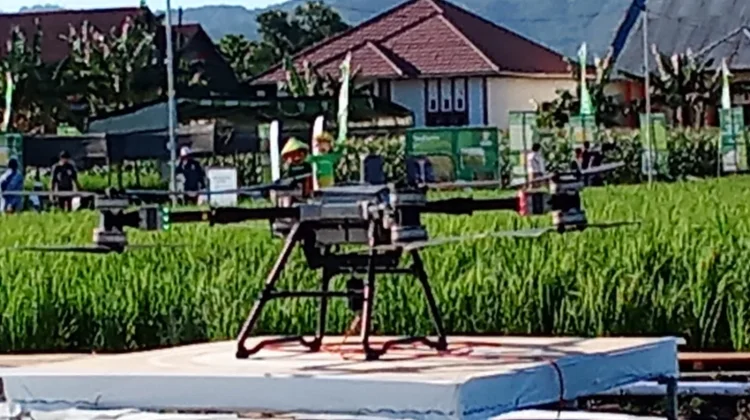 Kementan Apresiasi Kesiapan Gelar Teknologi PENAS XVII Gorontalo - RRI ...