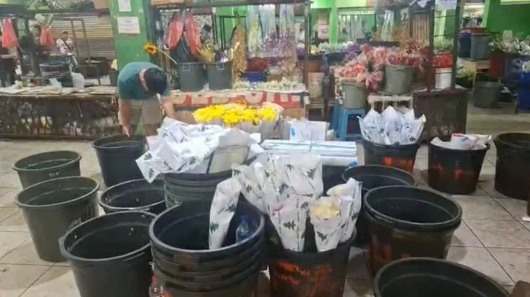Stok Langka, Harga Mawar di Pasar Rawa Belong Melonjak dari Rp50 Ribu ...
