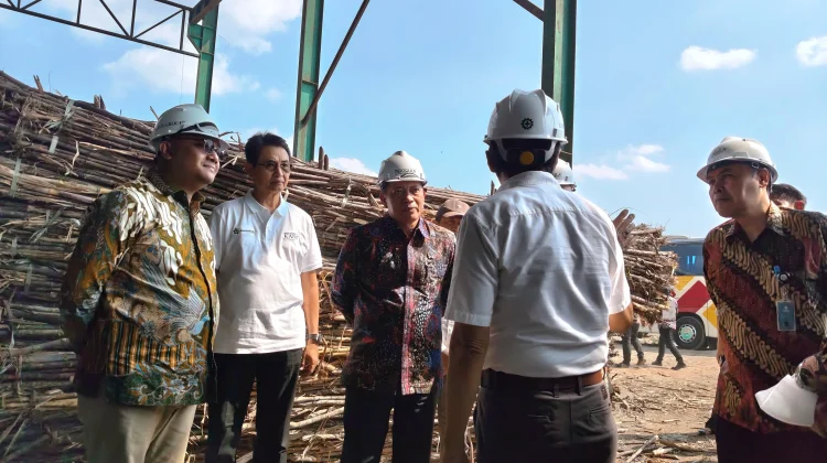 Wujudkan Swasembada Gula Nasional, Menkop Dukung Hilirisasi Tebu di ...