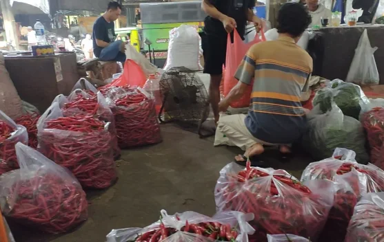 Sentra Cabai Jatim Mulai Panen Harga Cabai di Kediri Turun - RRI.co.id