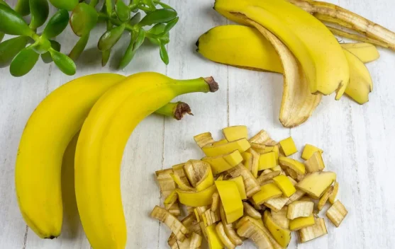 Jangan Dibuang, 5 Sisa Makanan Ini Bermanfaat untuk Menyuburkan Tanaman ...