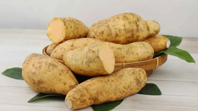 Tak Hanya Manis, Ubi Cilembu juga Bantu Jaga Energi dan Gula Darah ...