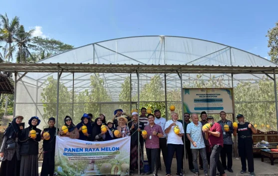 Panen Raya Melon Hidroponik, Bukti Wakaf Produktif Pesantren - RRI.co.id