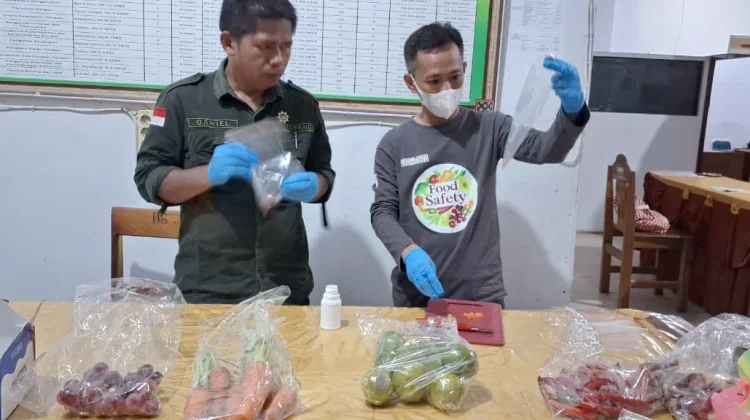 Dukung MBG, Dinas Pangan Sulbar Lakukan Uji Sampel PSAT di Polman dan ...