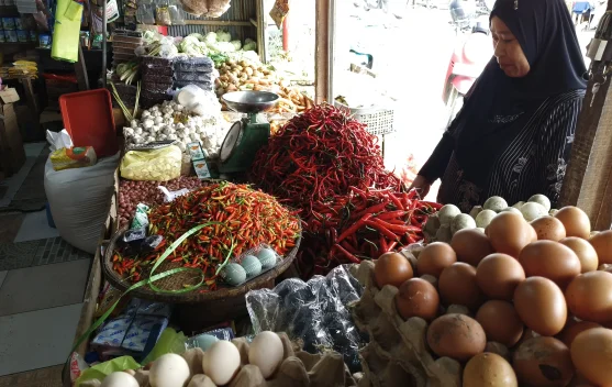 Pasca Hari Raya Idul Adha, Harga Cabai di Mamuju Mulai Menurun - RRI.co.id