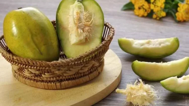 Manfaat Buah Kedondong Bagi Kesehatan - RRI.co.id