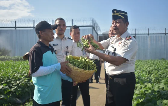 Lahan Terbengkalai di Lapas Lobar Kini Hasilkan Edamame Melimpah - RRI ...