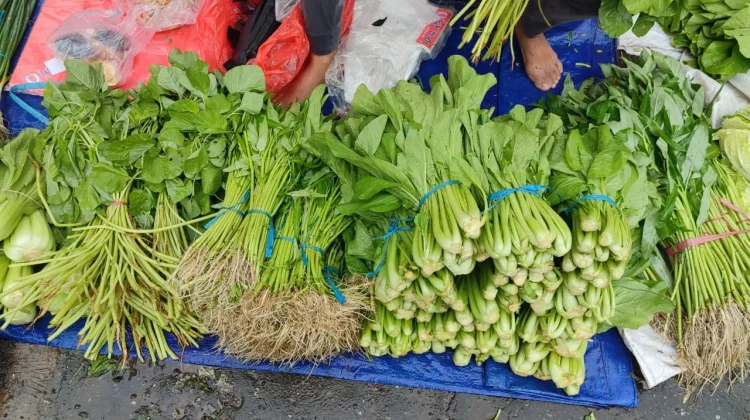 Segini Harga Sayur Mayur Di Pasar Wamanggu Merauke - RRI.co.id