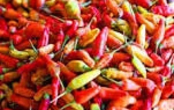 Cek Harga Cabe Di Pasar Wamanggu Merauke - RRI.co.id
