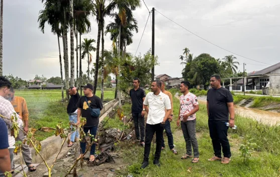 Jamaluddin Kawal Program Irigasi Tersier untuk Tingkatkan Hasil Panen ...