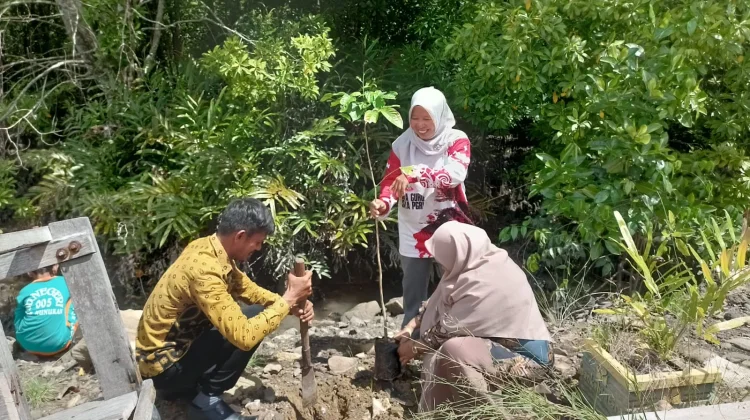 Taman Baca Pagun Taka Binusan Melakukan Penanaman Pohon di Hutan ...