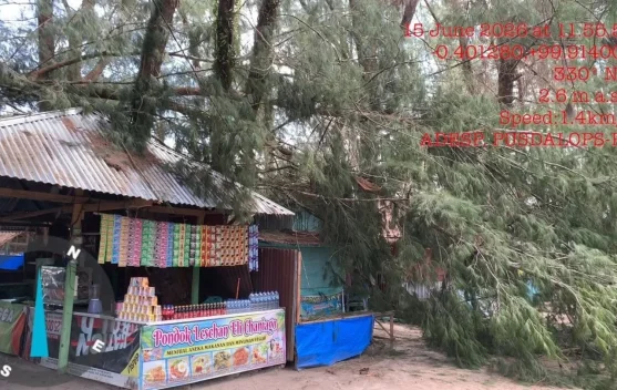Pohon Tumbang Rusak Atap Enam Kedai Warga di Tiku Selatan Agam - RRI.co.id