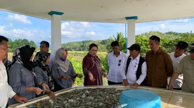 Donggala Dorong Tambak di Sojol jadi Pusat Teknologi Budi Daya - RRI.co.id